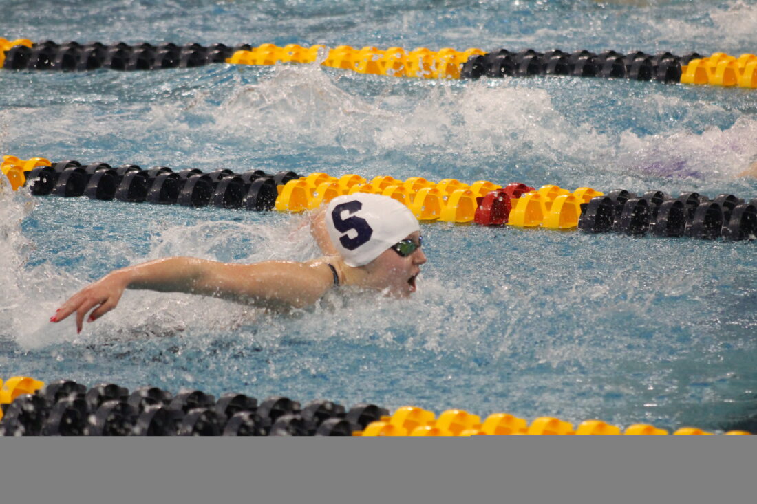 Mid-Ohio Valley schools perform at high level on day 1 of state swim ...